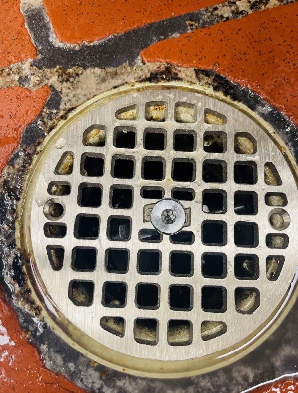 Smith - 5" Round with Lock and Stop Drain Lock - Drain-Net